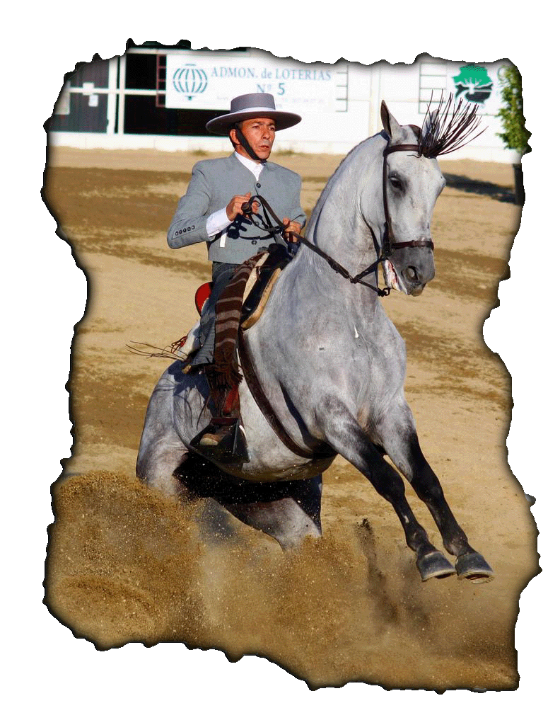 La Doma Vaquera :: PASSIONE VAQUERA